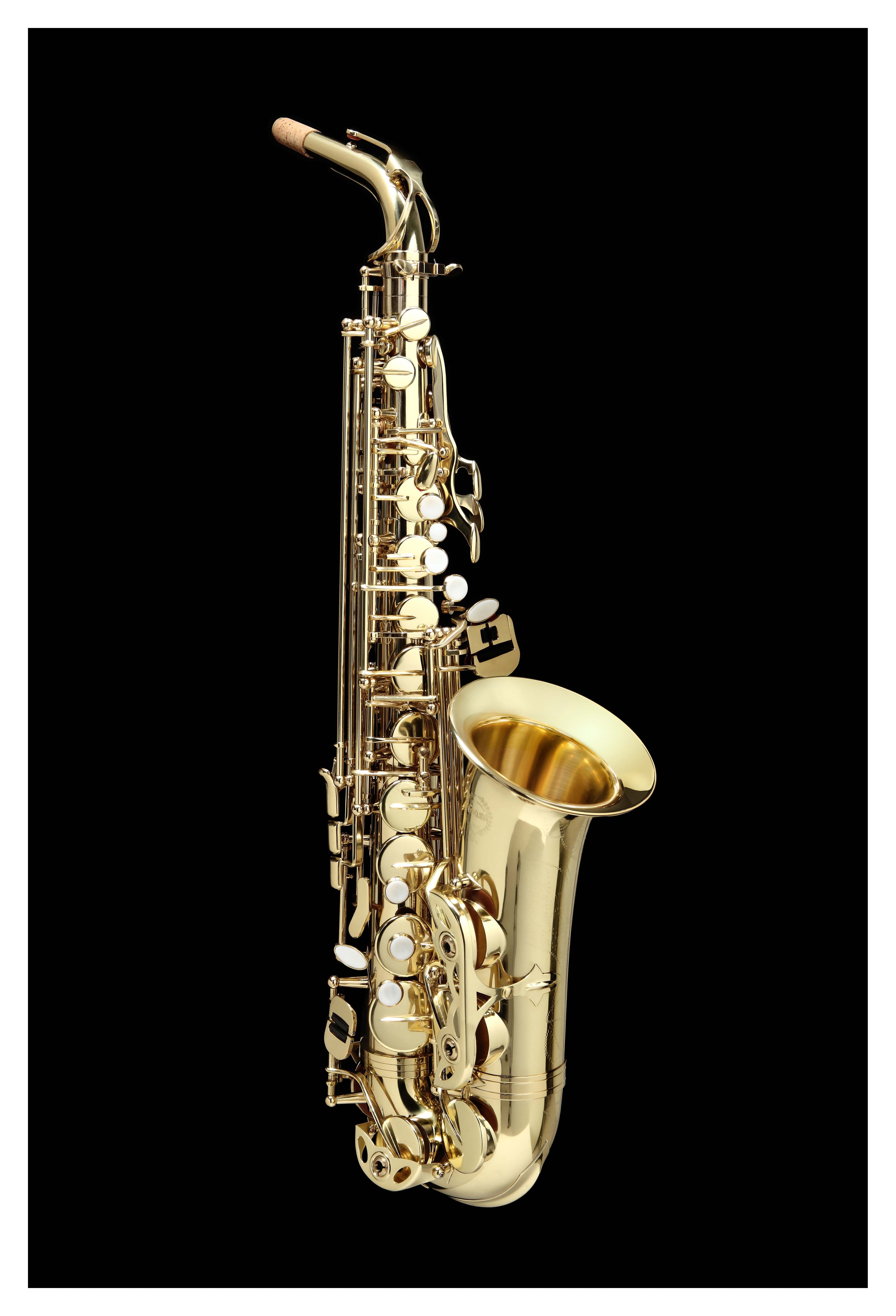 Grassi GR AS210 Alto Saxophone in E♭ Yellow Brass Lacquered (Mas ...